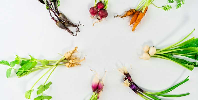 Specialty Produce - Mr Greens Produce